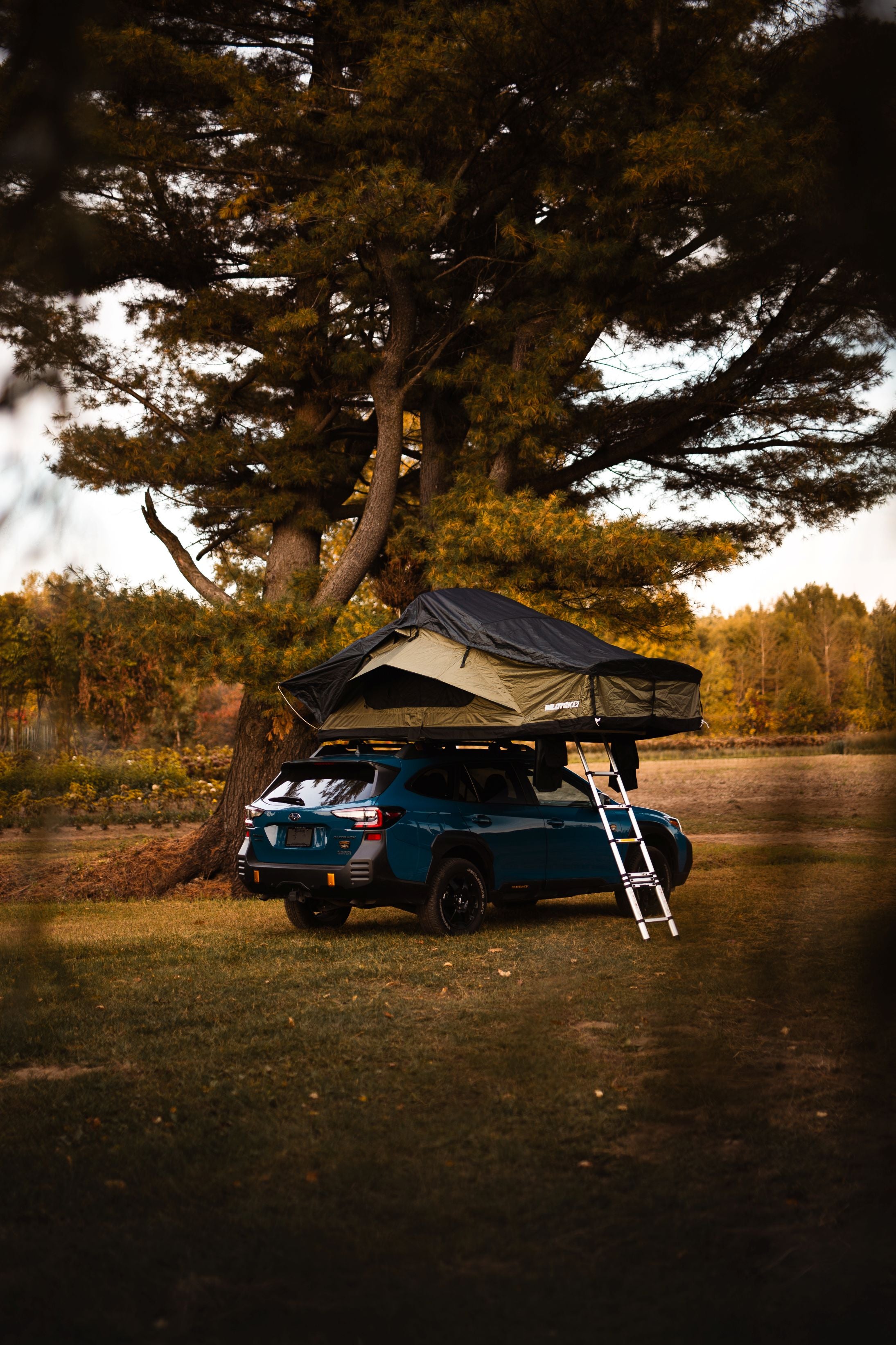 Rooftop tent softshell SEQUOIA-XL – WILDTEK - Tentes de toits et ...